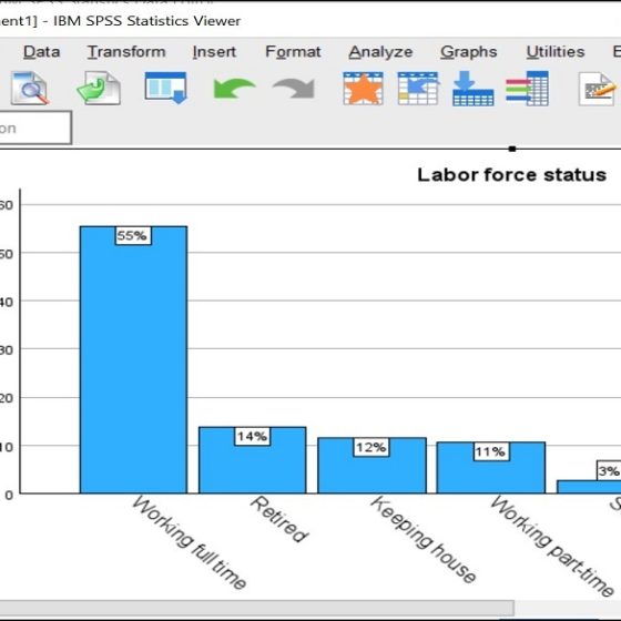 Cursusaanbod IBM SPSS Statistics – Data Analyse Academie Cursusaanbod IBM SPSS Statistics – Data Analyse Academie